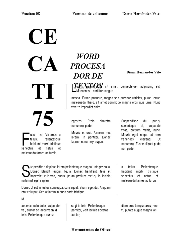 Practica-08 Formato de Columnas | PDF