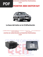 Inmovilizador Pointer 2008 | PDF | Entretenimiento (general) | Naturaleza