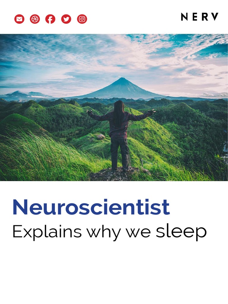 Neuroscientist Explains Why We Sleep | PDF | Sleep | Memory