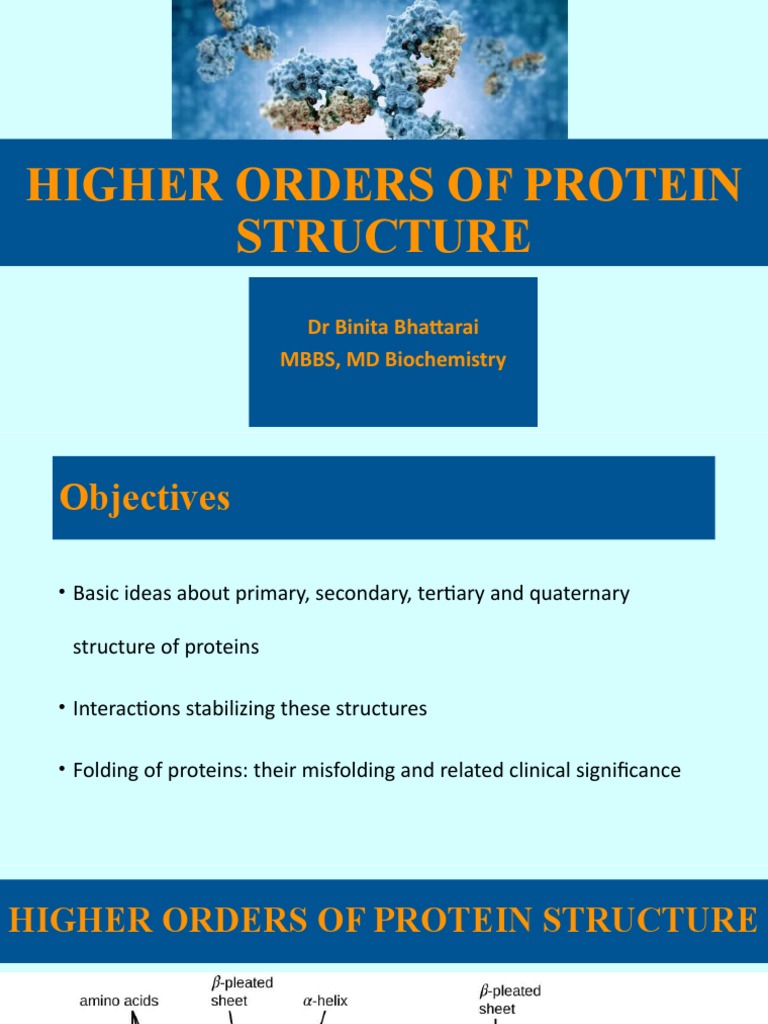 2-Higher Order of Protein | PDF | Protein Structure | Alpha Helix