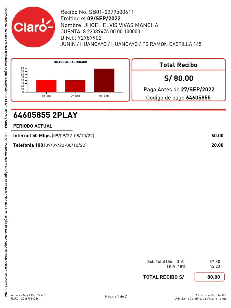 SB01 0279500611 | PDF | Telecomunicaciones | Industrias de servicio