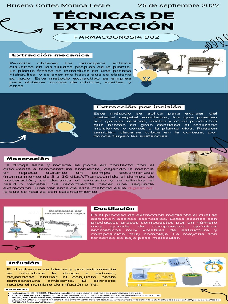Técnicas de Extracción. | PDF | Solvente | Petróleo