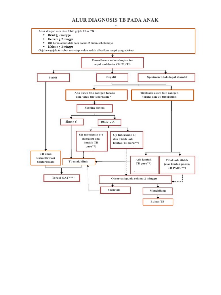 Alur Diagnosis TB Pada Anak Fix | PDF