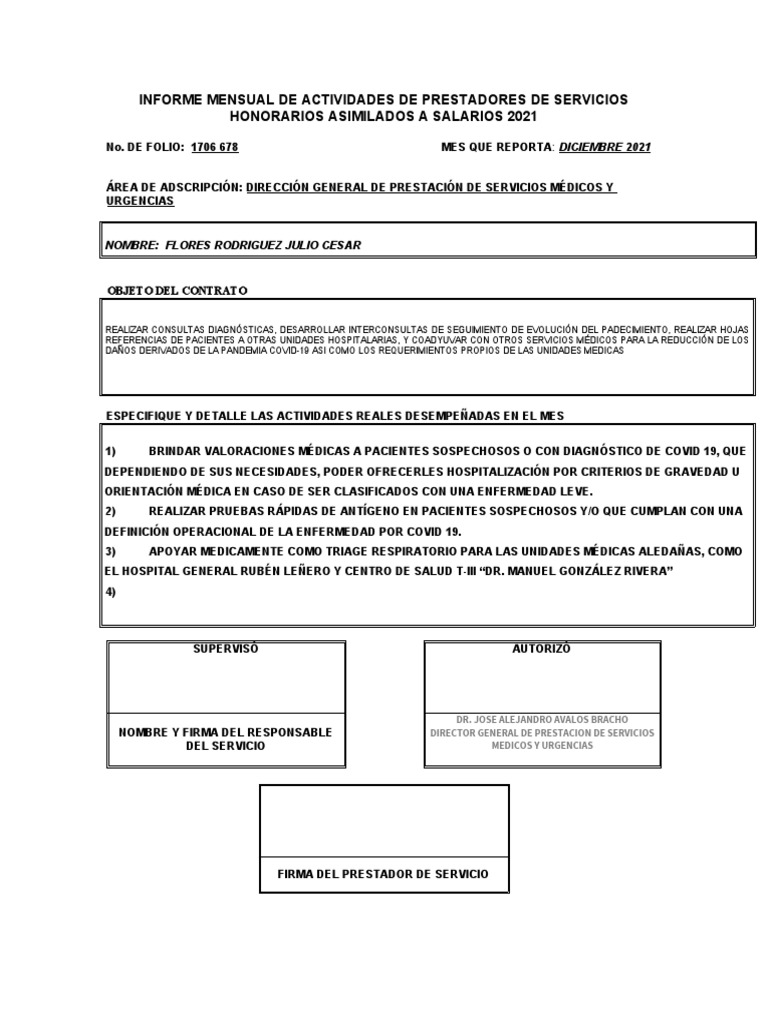 Informe Mensual de Actividades de Prestadores de Servicios | PDF