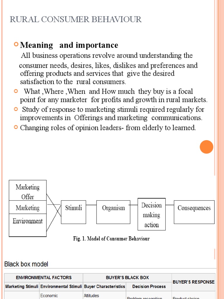R.M.-3-rural Consumer Behavior | PDF | Consumer Behaviour | Behavior