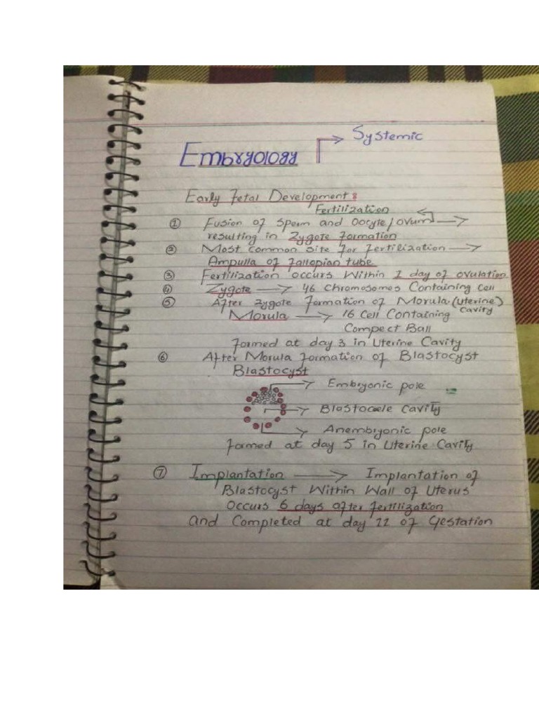 Embryology MRCPCH | PDF