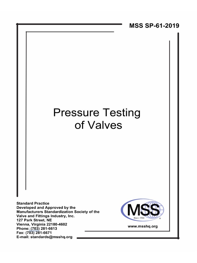 MSS SP-61-2019 | PDF