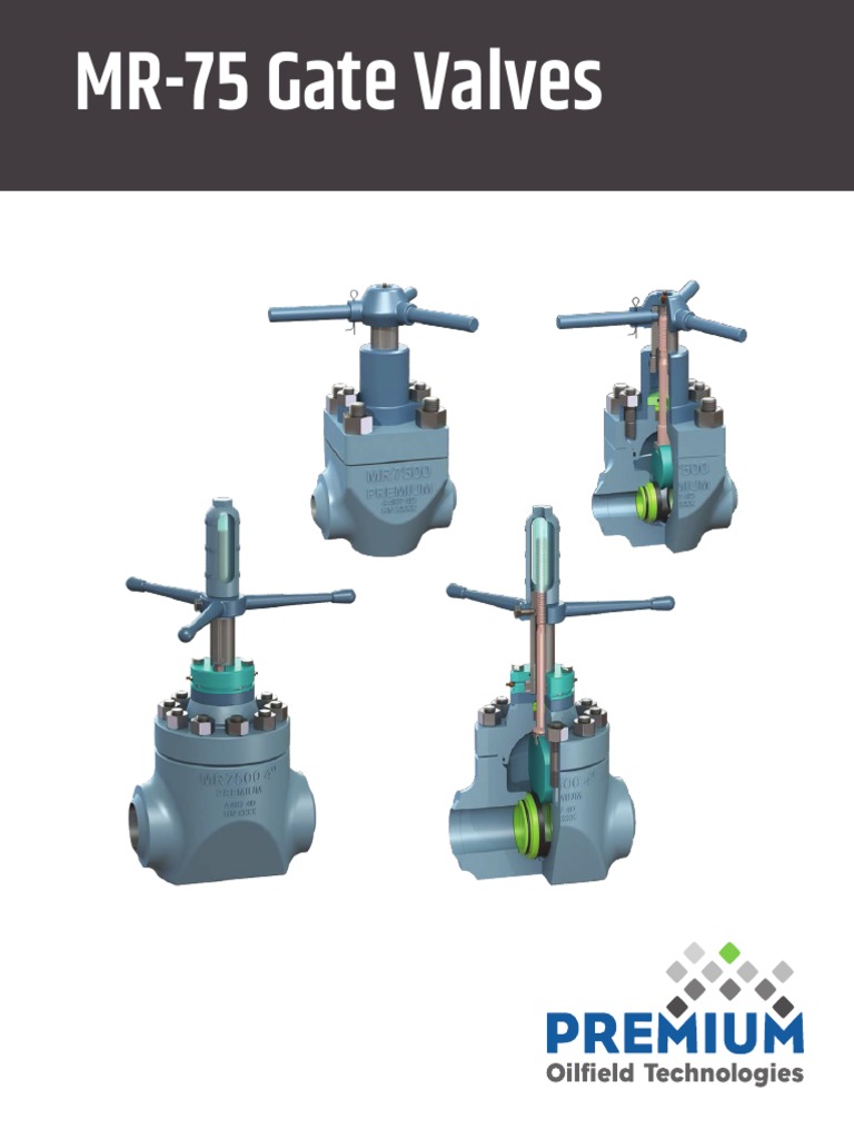 PRO Gate Valves Catalog 101116c | PDF | Valve | Chemical Engineering