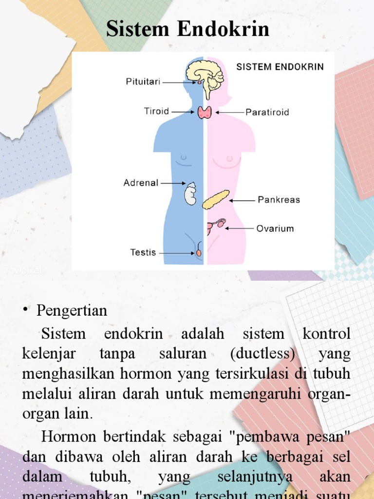 Tim 5 - Sistem Endokrin | PDF | Kesehatan Holistik