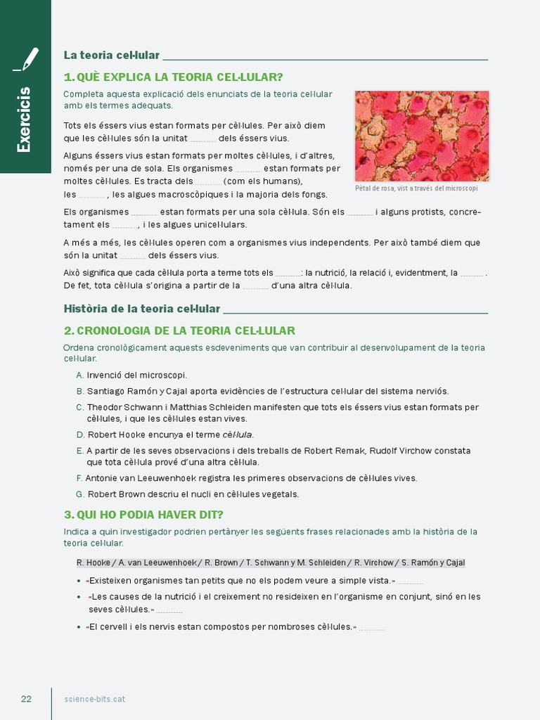 UD1. Dossier Dexercicis | PDF