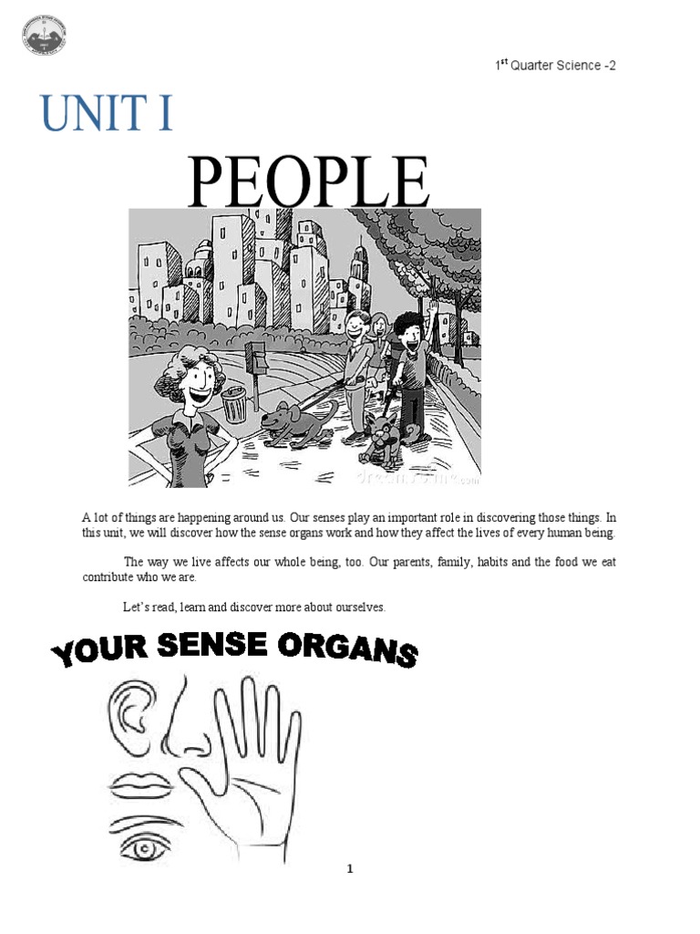 Caring for Your Eyes: A Lesson Plan | PDF | Senses | Eye