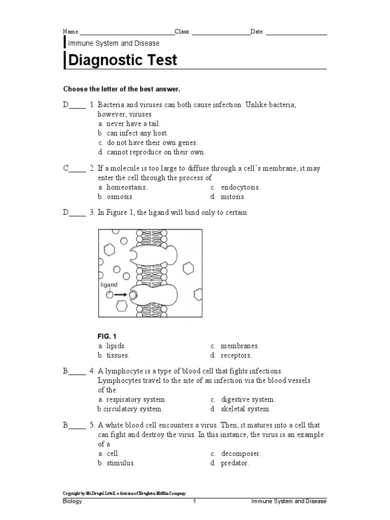 Immune System and Disease | PDF | Virus | Infection