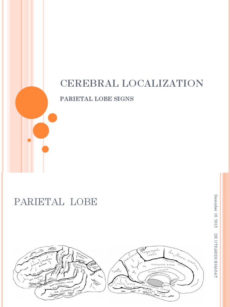 Cerebral Localization Parietal Lobe Signs | PDF | Parietal Lobe ...