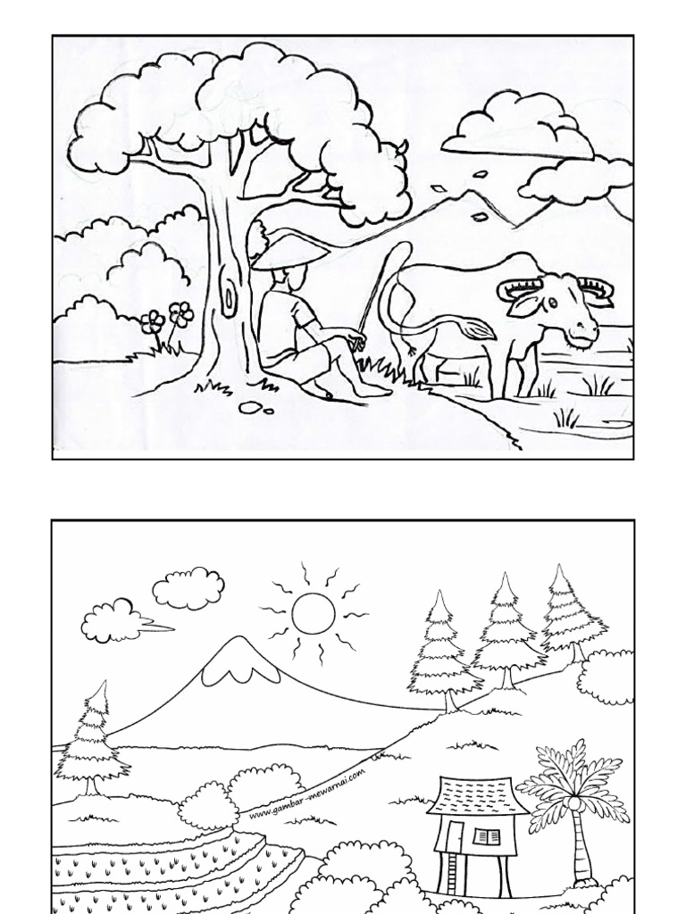 English Colouring Nature | PDF