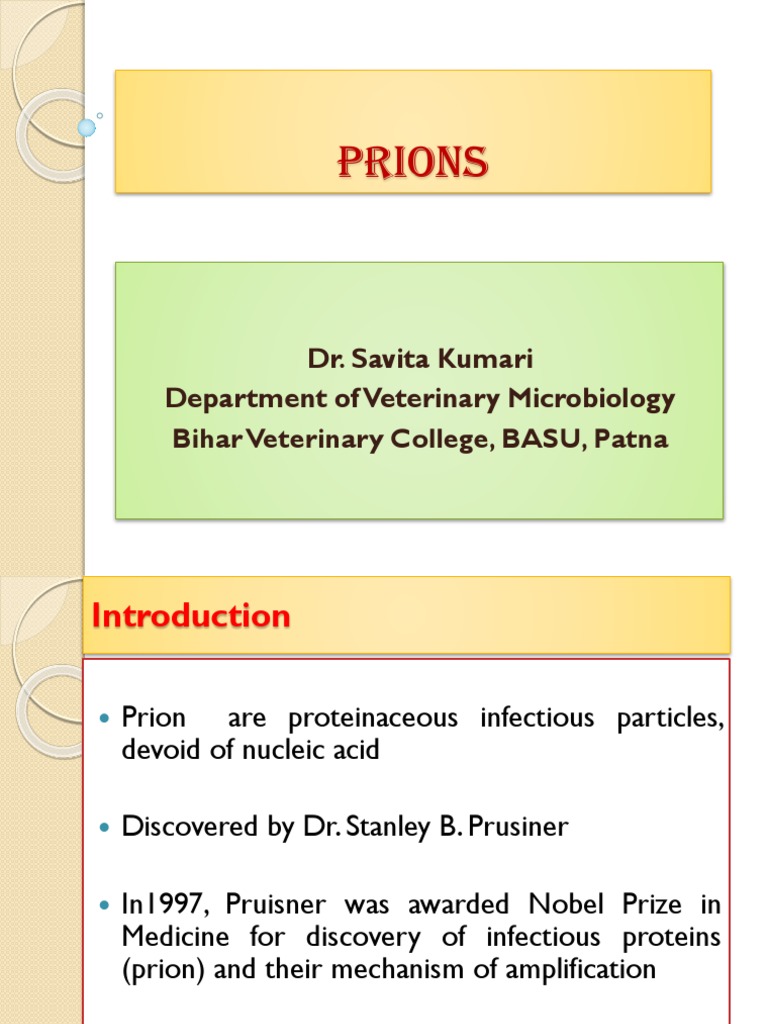 Prion Diseases - Scrapie and Bovine Spongiform Encephalopathy | PDF ...