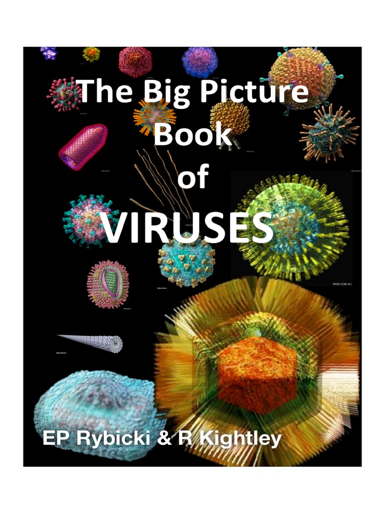 The Big Picture Book of Viruses. EP Rybicki & R Kightley | PDF | Retrovirus | Virus