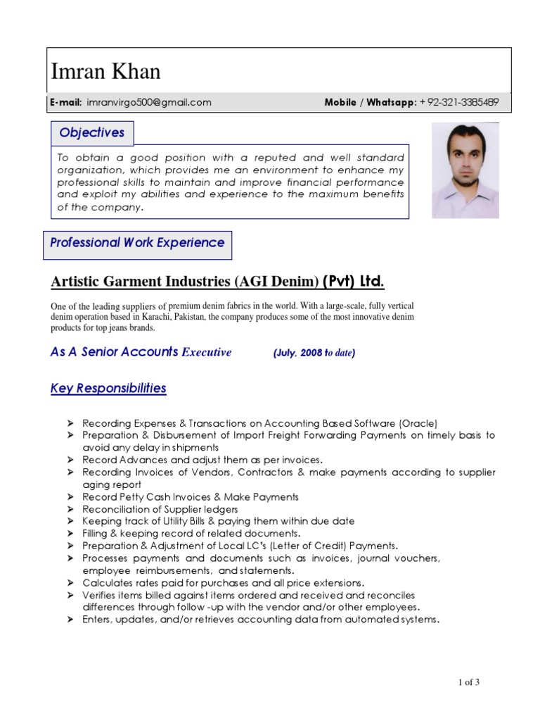 CV Imran Khan | PDF | Invoice | Payments