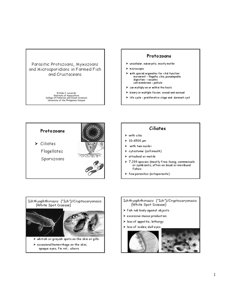 Parasitic Protozoans of Farmed Fish and Crustaceans | PDF | Protozoa