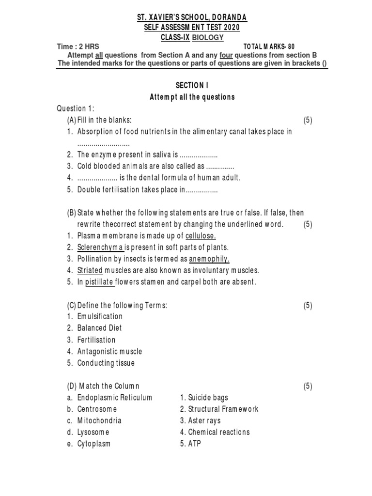 Classification Test for Class 9 Biology Analyzes Key Concepts | PDF ...
