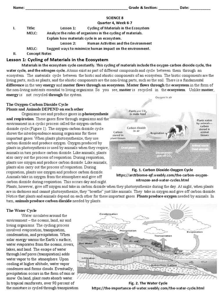 SCIENCE 8..Q4..W6 7..ecosystem | PDF | Ecosystem | Agriculture