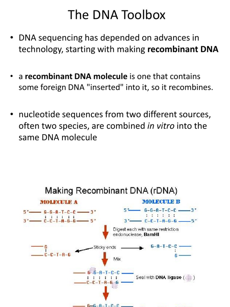 Gene Therapy, GMOs and Genetic Engineering | PDF | Genetic Engineering ...