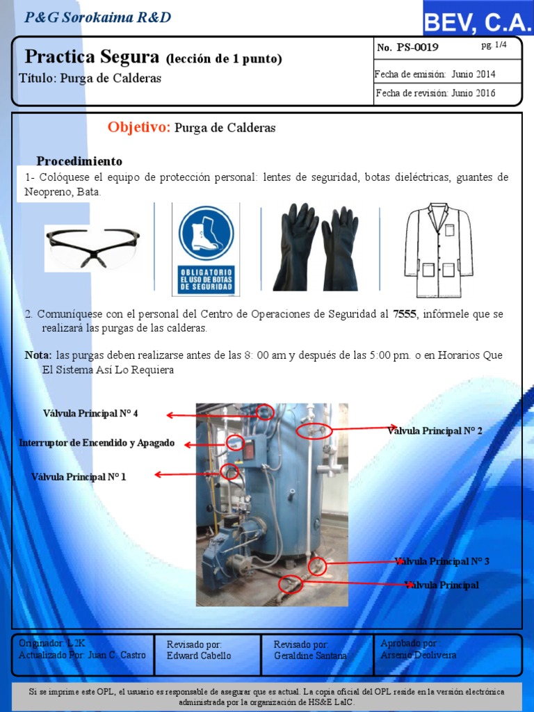 OPL N 0019 L2K Purga de Calderas | PDF