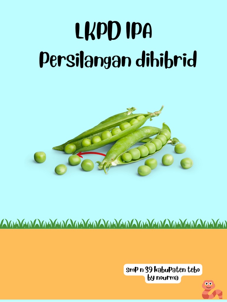 Persilangan Dihibrid: LKPD Ipa | PDF