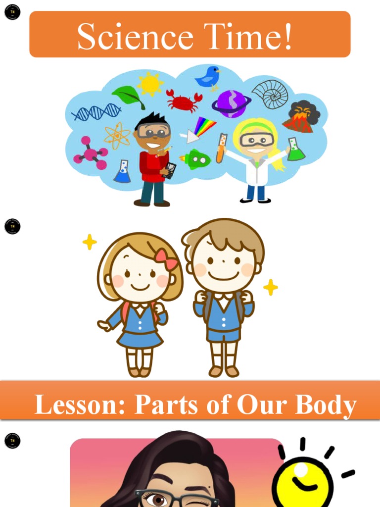 ESL Science Lesson - Our Body Parts (Primary 1 Lesson) | PDF