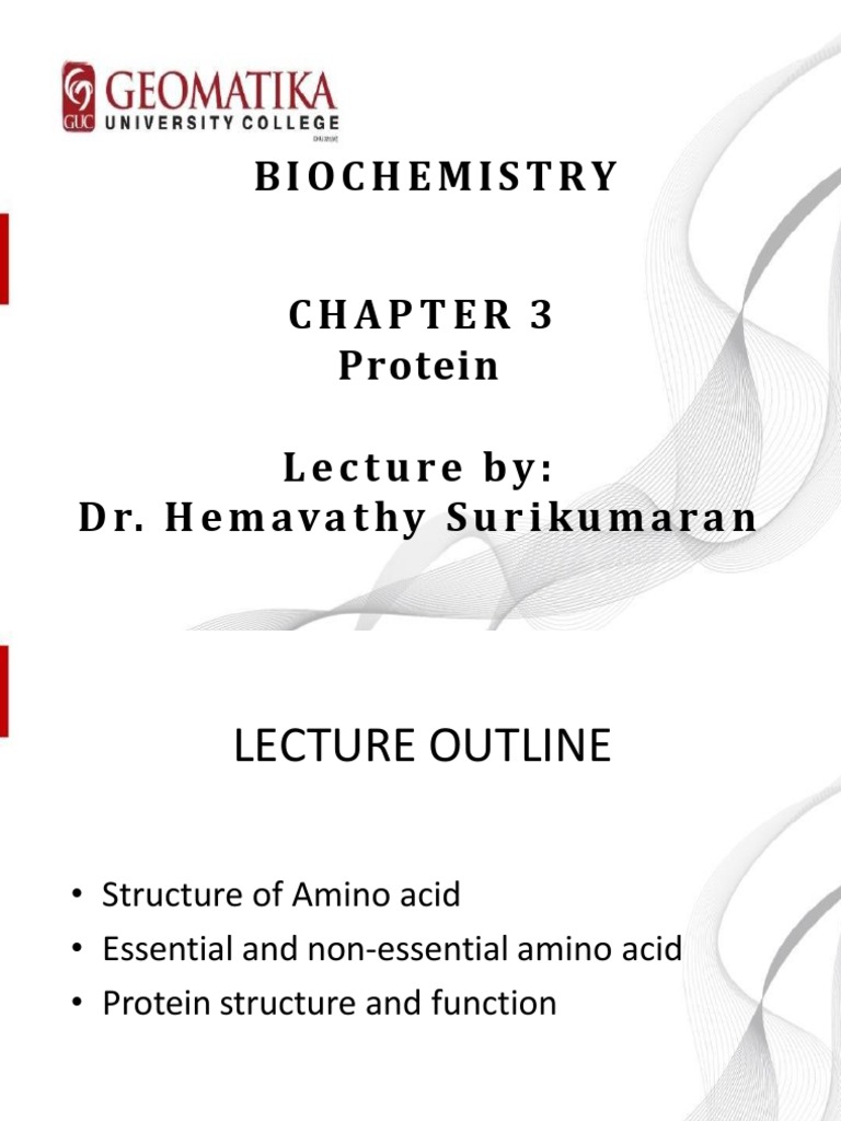 Chapter 3 - Protein | PDF | Proteins | Amino Acid