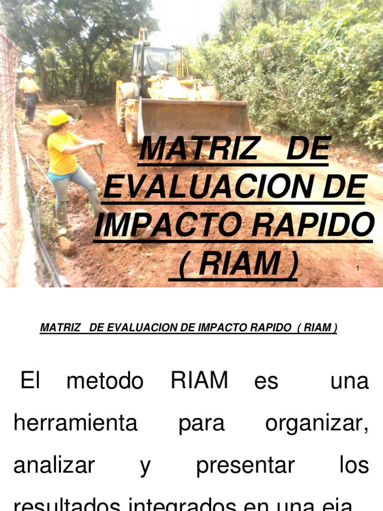 Evaluación de Impacto Rápido RIAM | PDF | Evaluación | Entorno natural