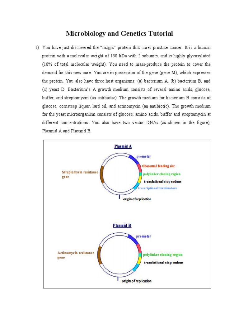 Biochem Tut1 | PDF | Growth Medium | Bacteria