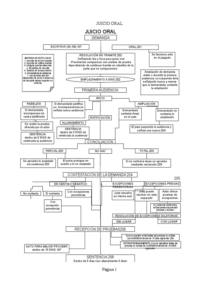Esquema Juicio Oral | PDF | Sentencia (ley) | Apelación