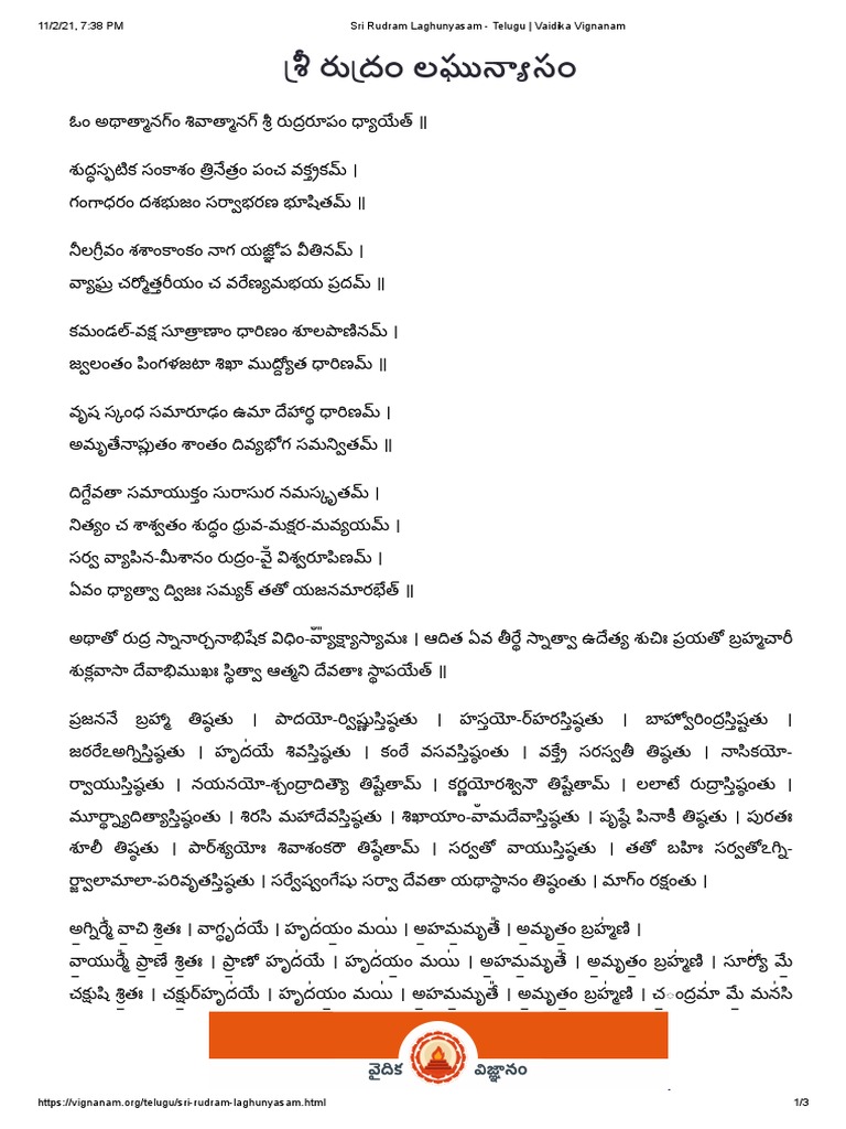 Sri Rudram Laghunyasam - Telugu - Vaidika Vignanam | PDF