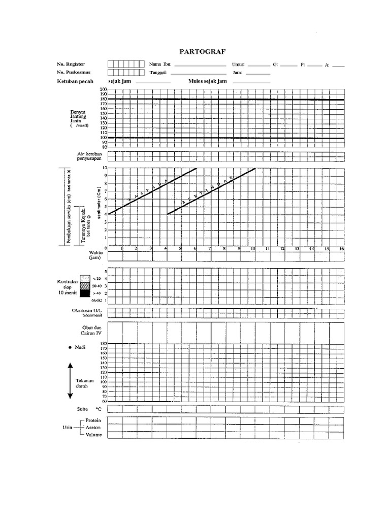 Partograf 2 | PDF