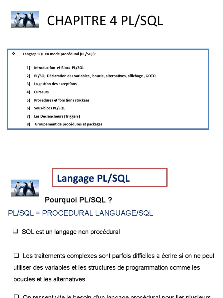 BD Avance Chap4 | PDF | PL/SQL | SQL