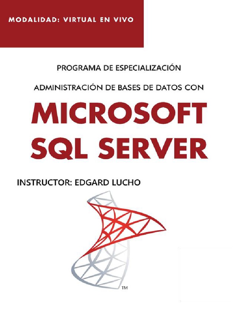 Tareas SQL Server 2019 | PDF | Negocios | Finanzas y dinero