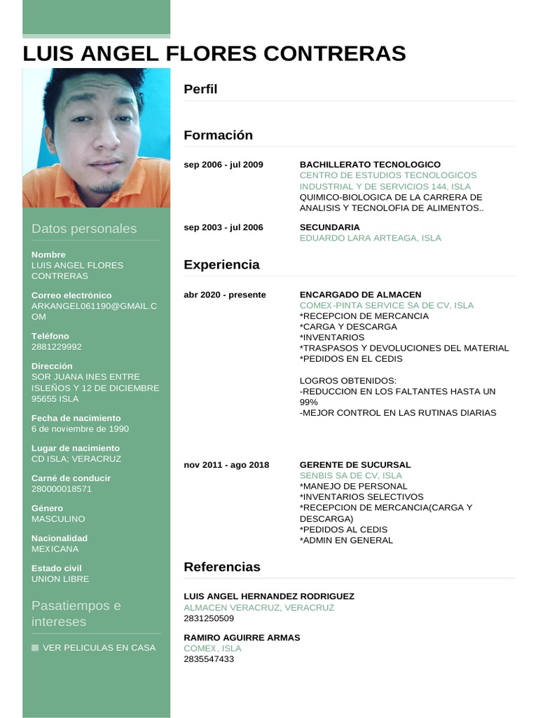 CV Luis Angel Flores Contreras | PDF