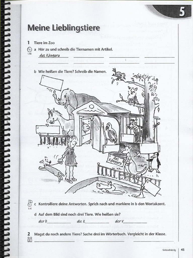 Genial Kapitel 5 AB | PDF