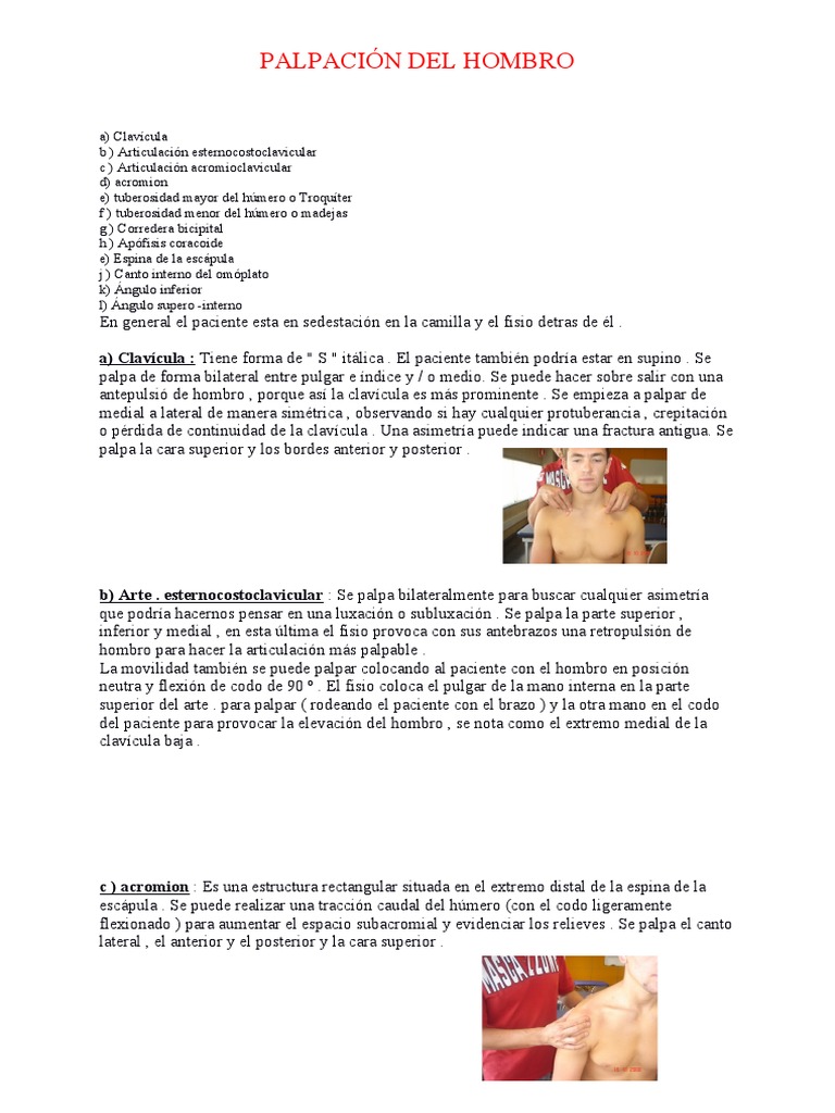 Palpación Del Hombro Pdf Hombro Codo