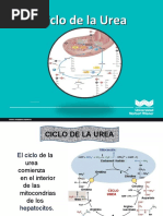La Síntesis de La UREA | PDF | Urea | Sustancias químicas