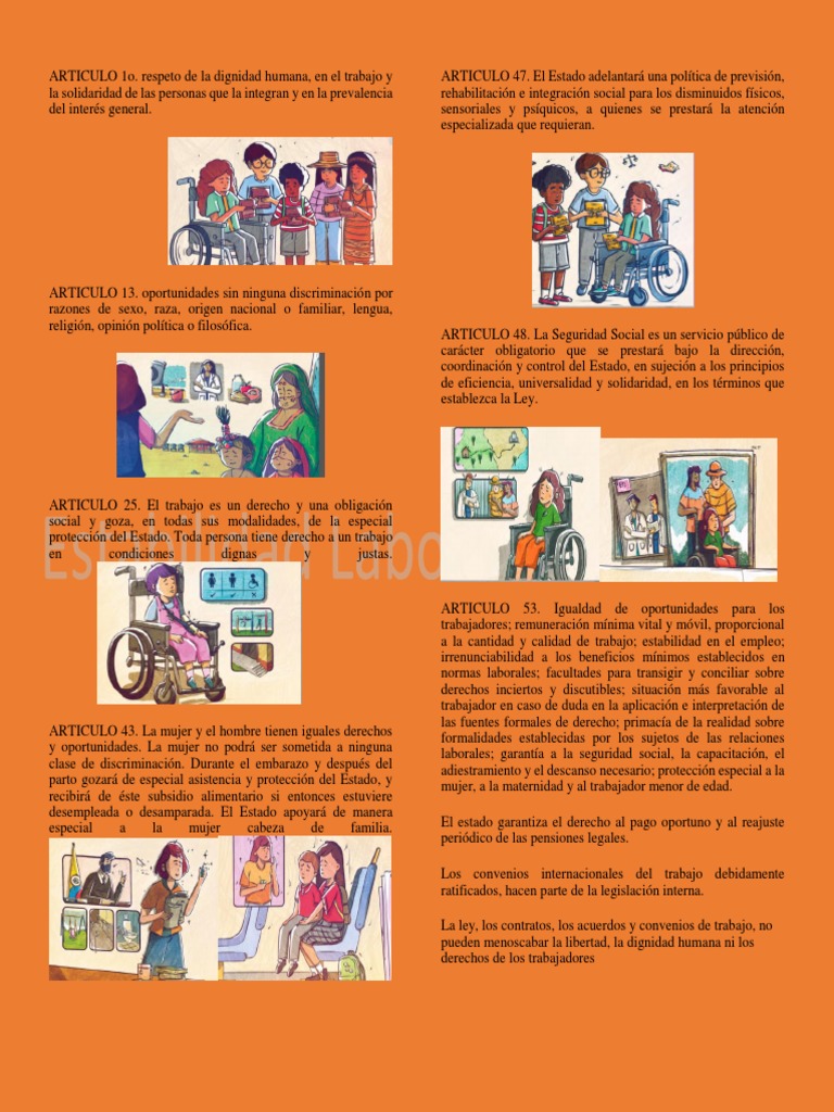 Caricatura Sentencia 049-17 | PDF | Estado (política) | Discriminación