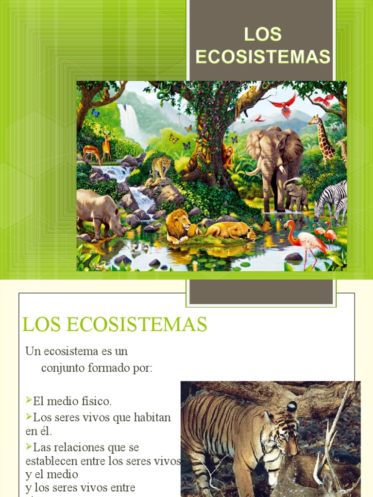 Los Ecosistemas 4 | PDF | Ecosistema | Ciencias de la Tierra