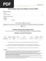 Consulta RNMC | PDF | Policía