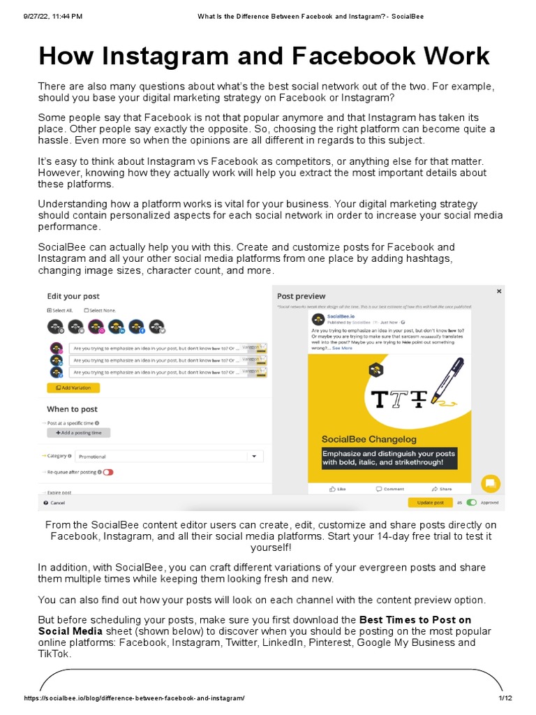 Q1..What Is The Difference Between Facebook and Instagram - SocialBee ...