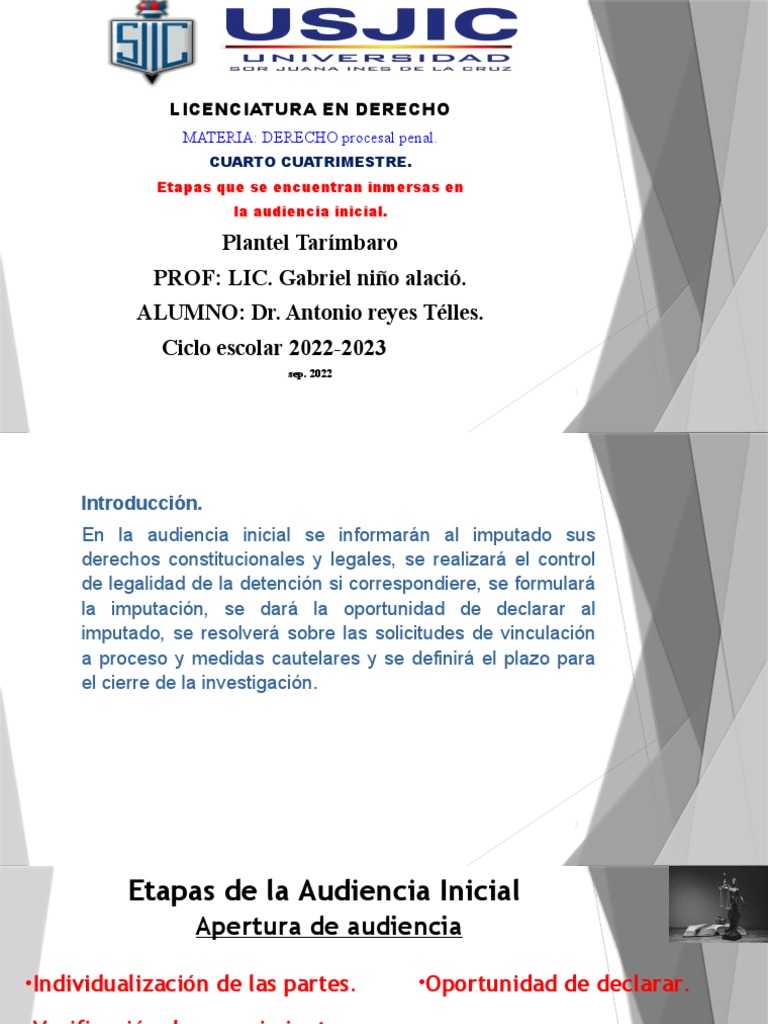 Etapas de La Audiencia Inicial | PDF | Mandato | Procedimiento Criminal