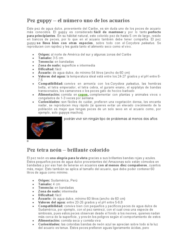 Pez Guppy | PDF | Acuario | Pescado