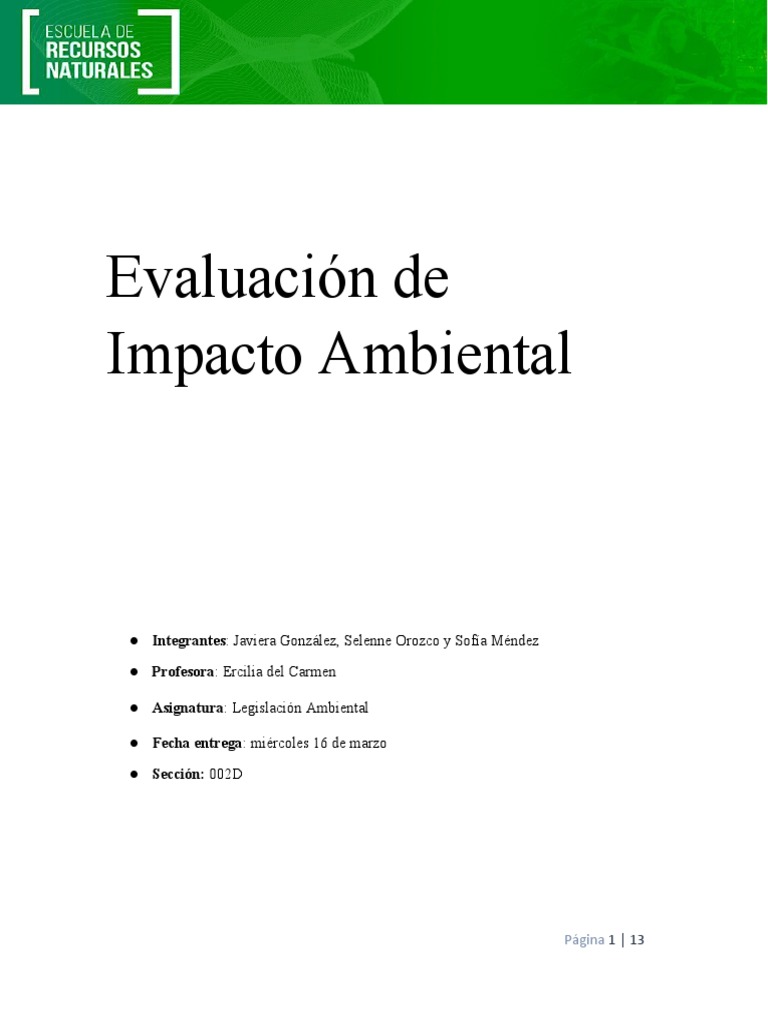 Informe EIA | PDF | Evaluación de impacto ambiental | Entorno natural