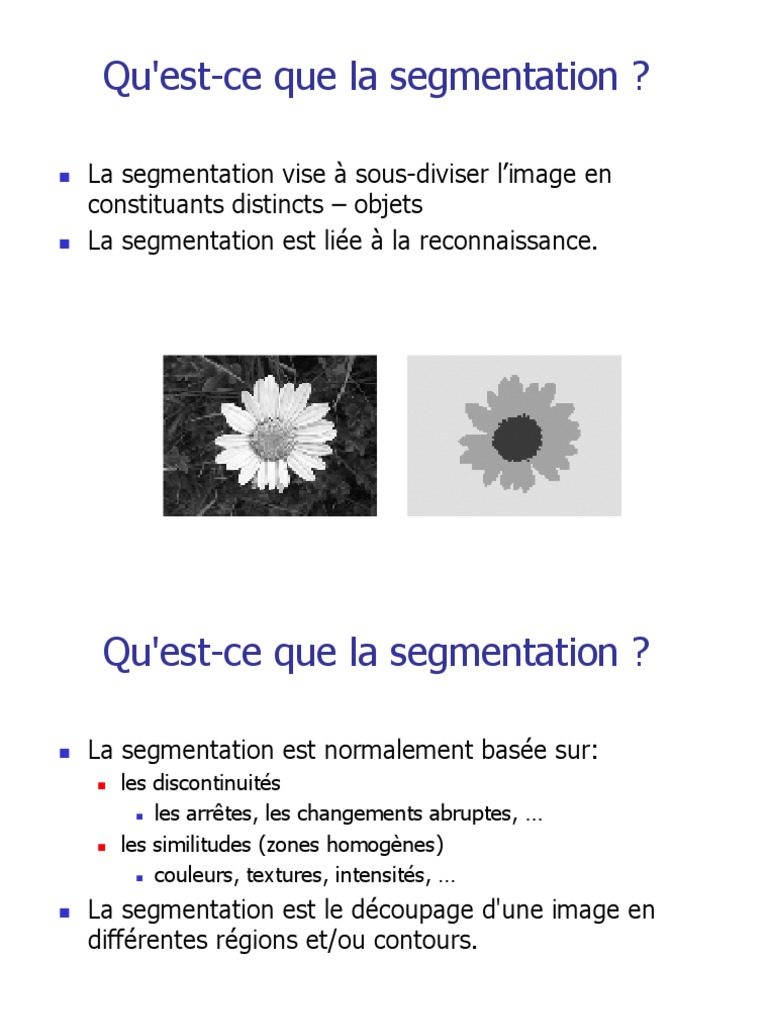 Cours TIVA Chap5 | PDF | Segmentation d'image | Algorithmes