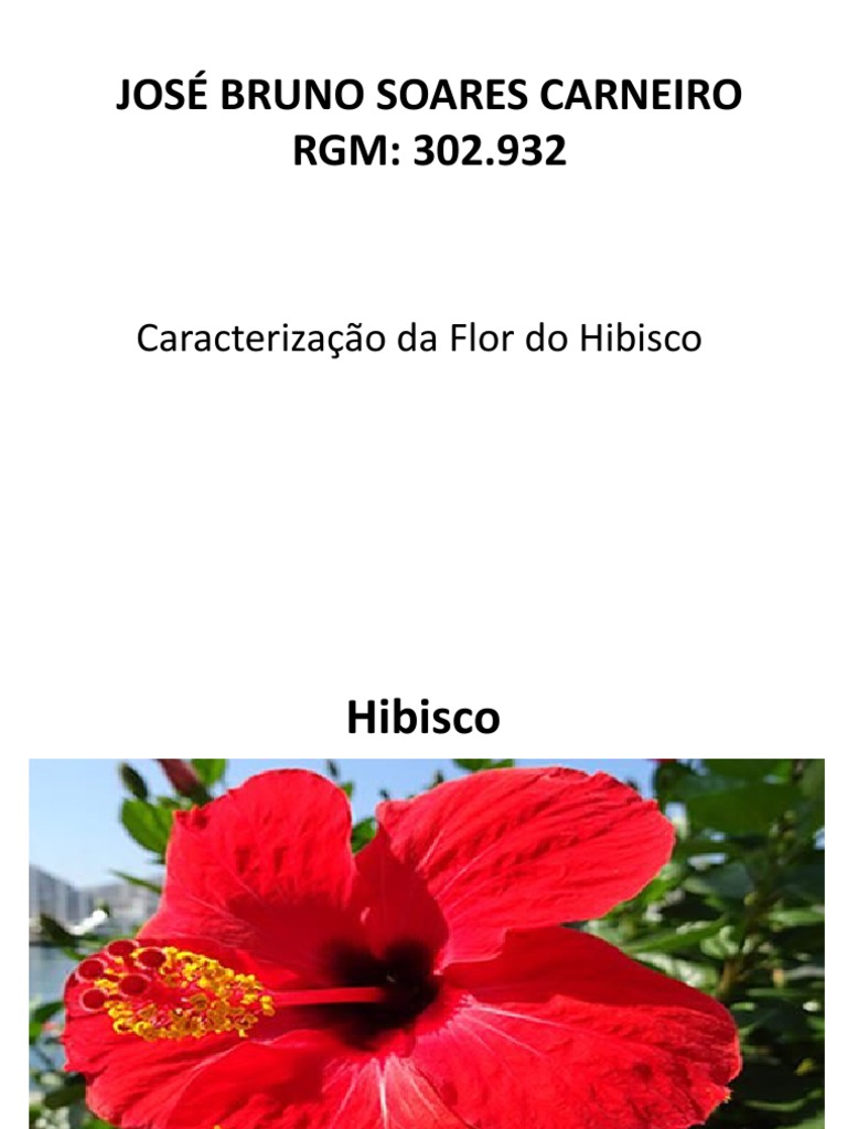 Trabalho Flor de Hibisco | PDF