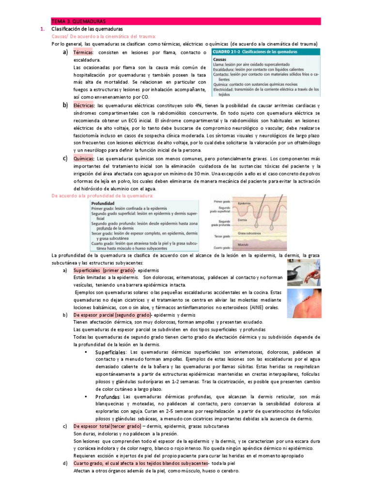 Clasificación y Fisiopatología de Quemaduras | PDF | Quemar | Sistema ...